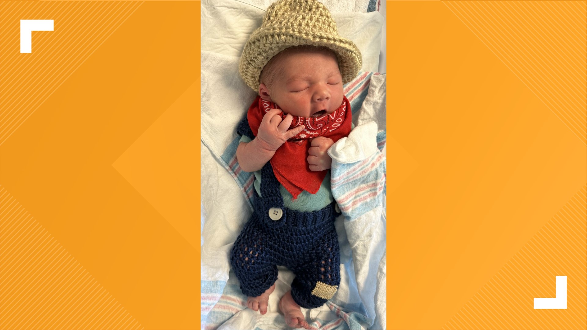 Riverside dresses babies up in "Barnyard Bash" Halloween costumes ...