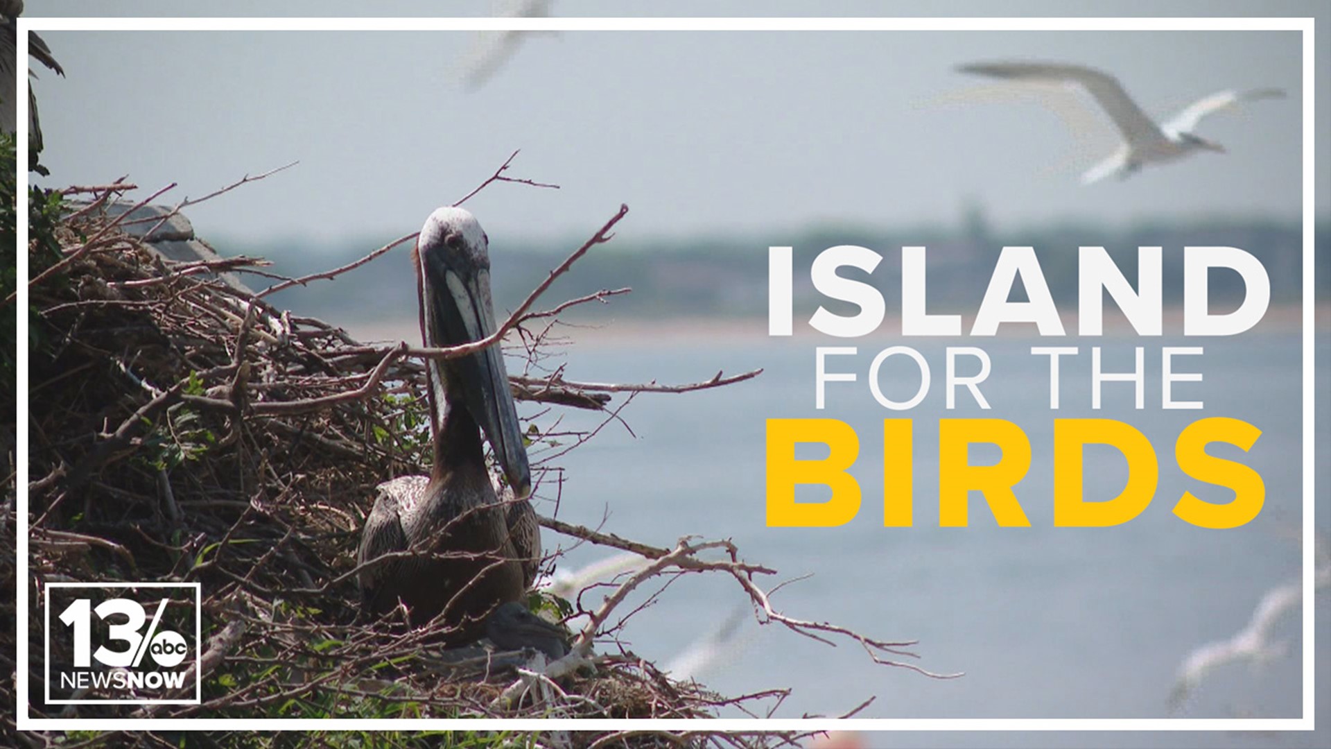 Island for the birds: Behind the scenes | 13newsnow.com