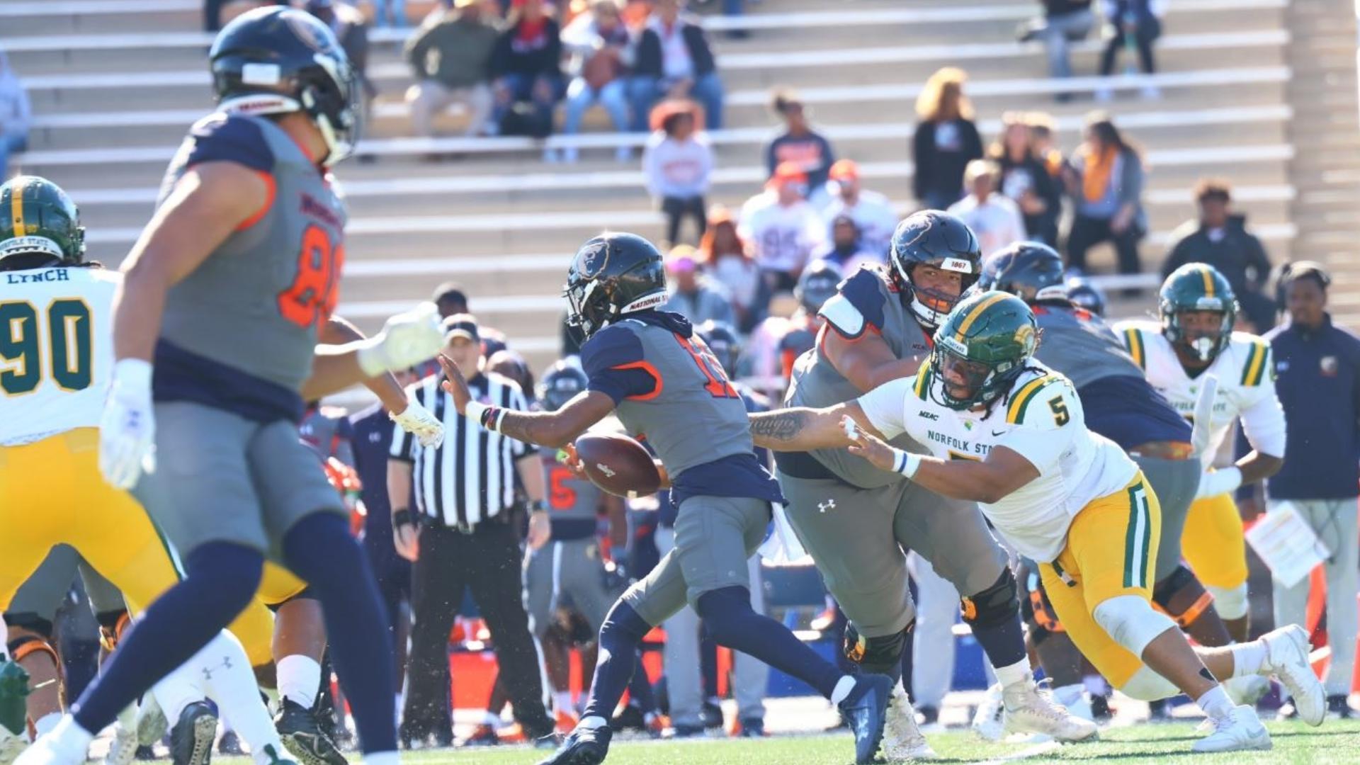 The Lab Bistro brings big Miami flavors to Virginia Beach | 13newsnow.com