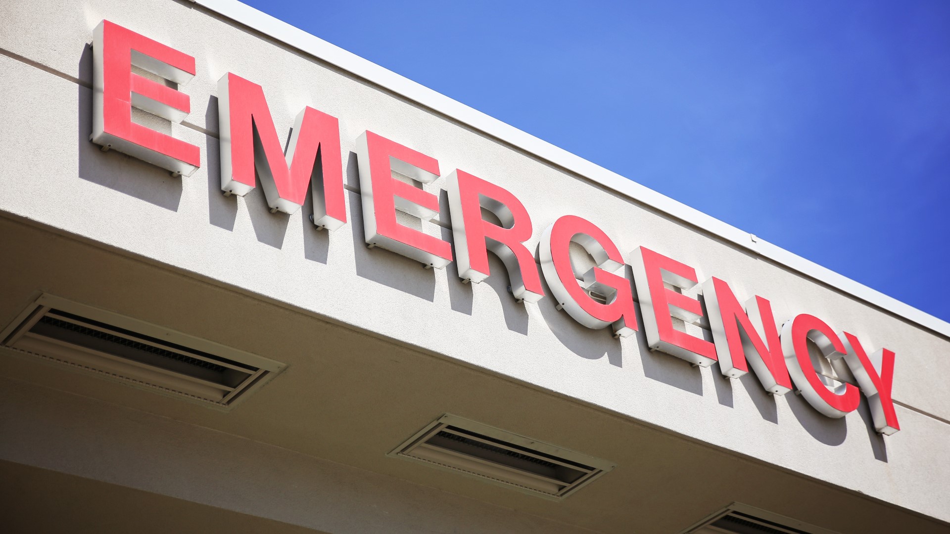 Newport News dog attack injures 4, investigation ongoing | 13newsnow.com