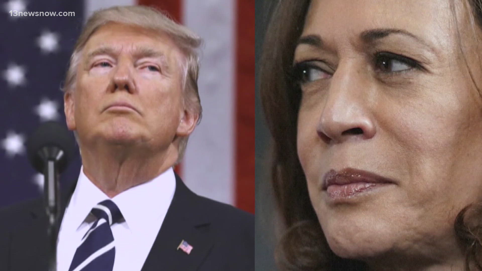 Virginia DNC delegates endorse Kamala Harris | 13newsnow.com