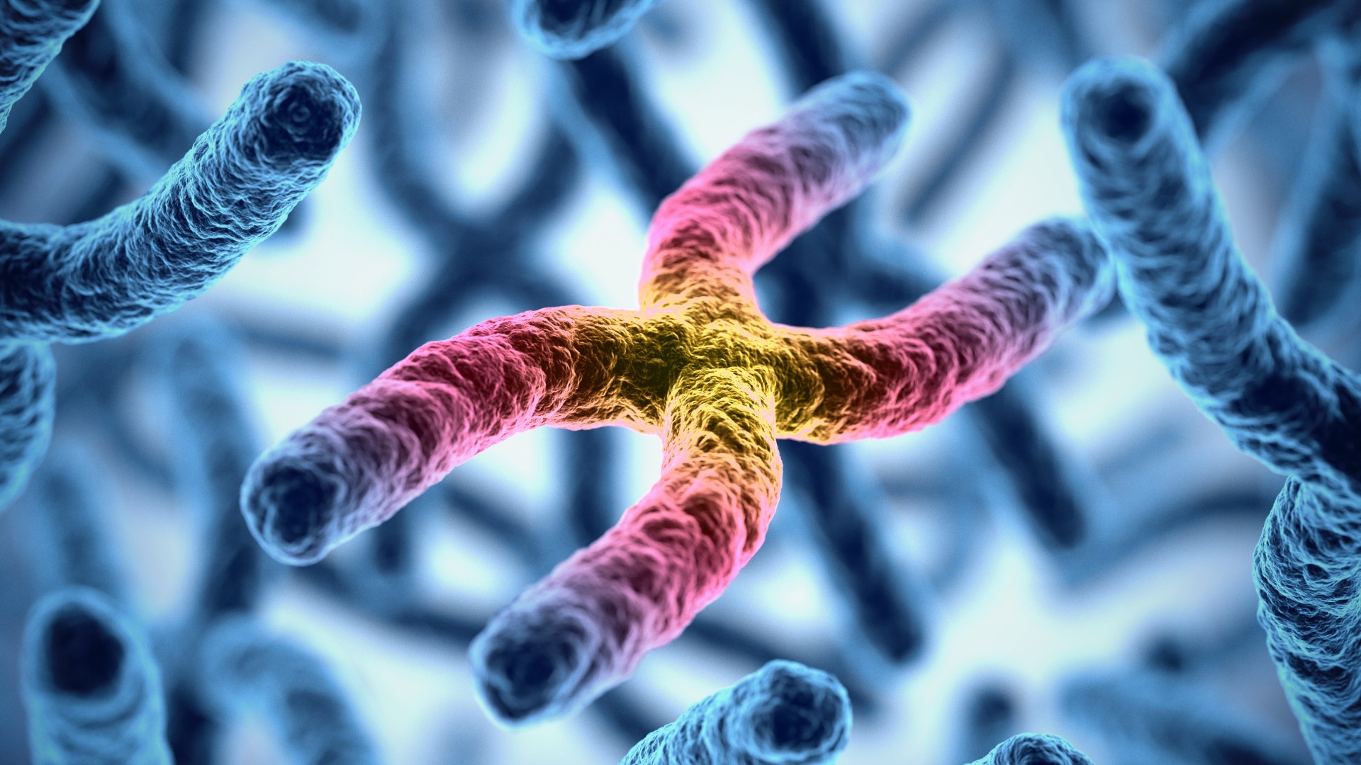 Man gets 42-year sentence for Landowski murder | 13newsnow.com