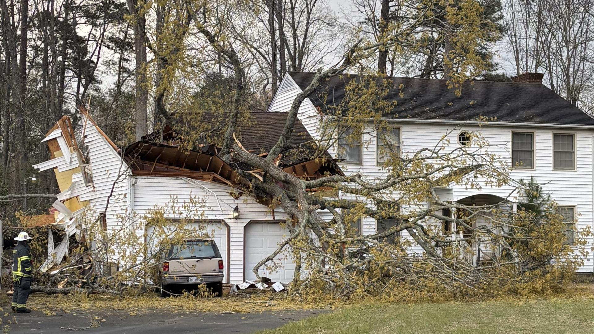Tree crashes through Suffolk home | 13newsnow.com