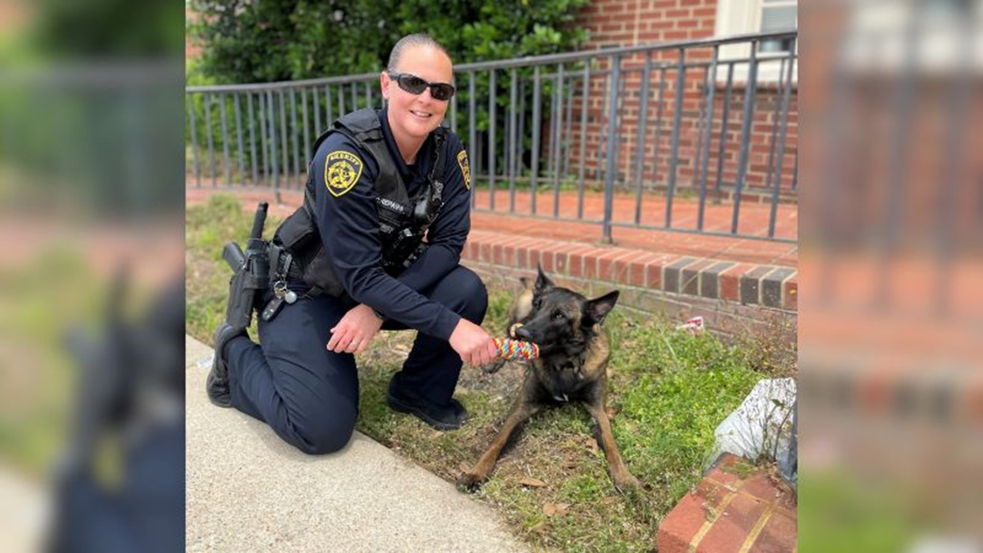Virginia Beach Sheriff's Office welcomes K-9, 3-year-old Apollo ...