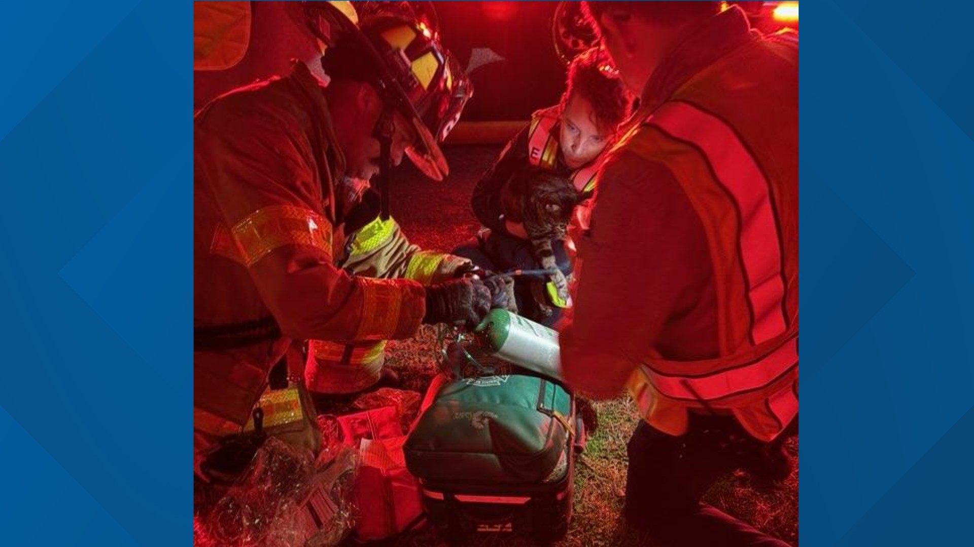 Virginia Beach crews save residents, pets from apartment fire ...