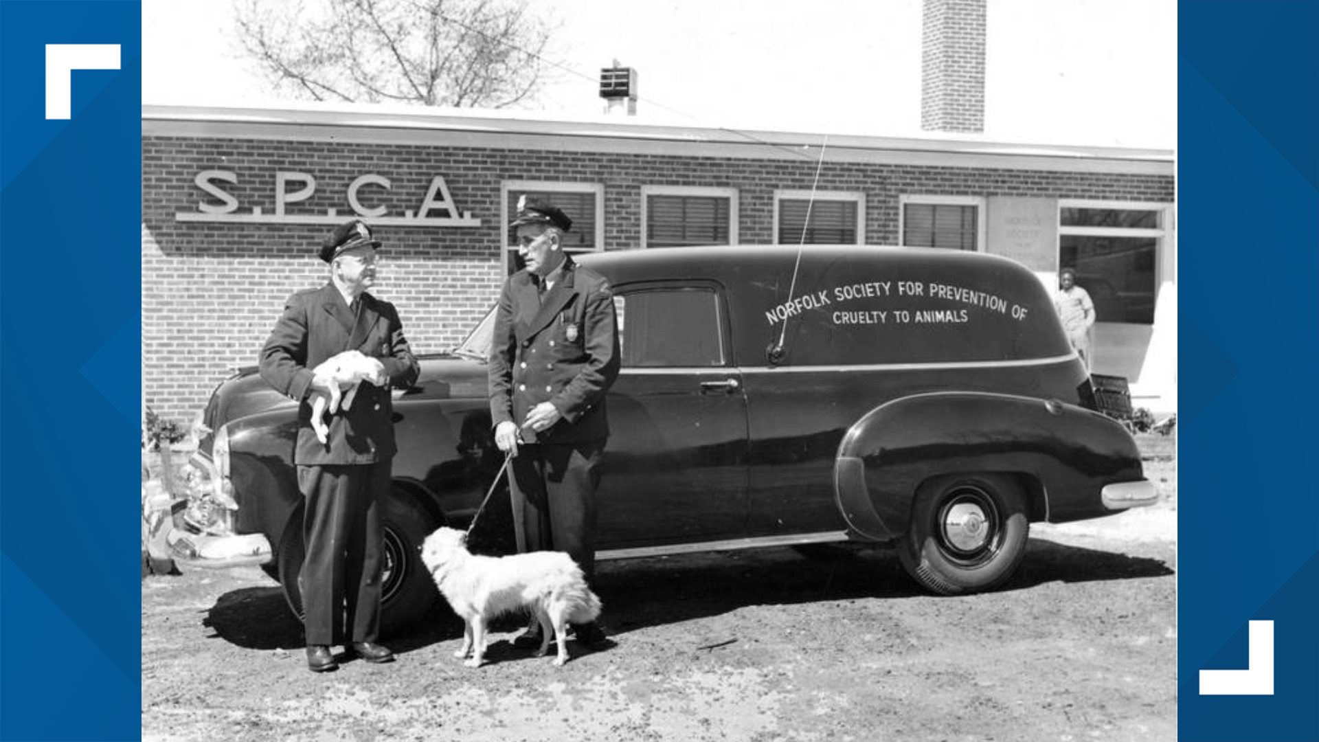Norfolk SPCA to celebrate 130th anniversary with dinner party ...