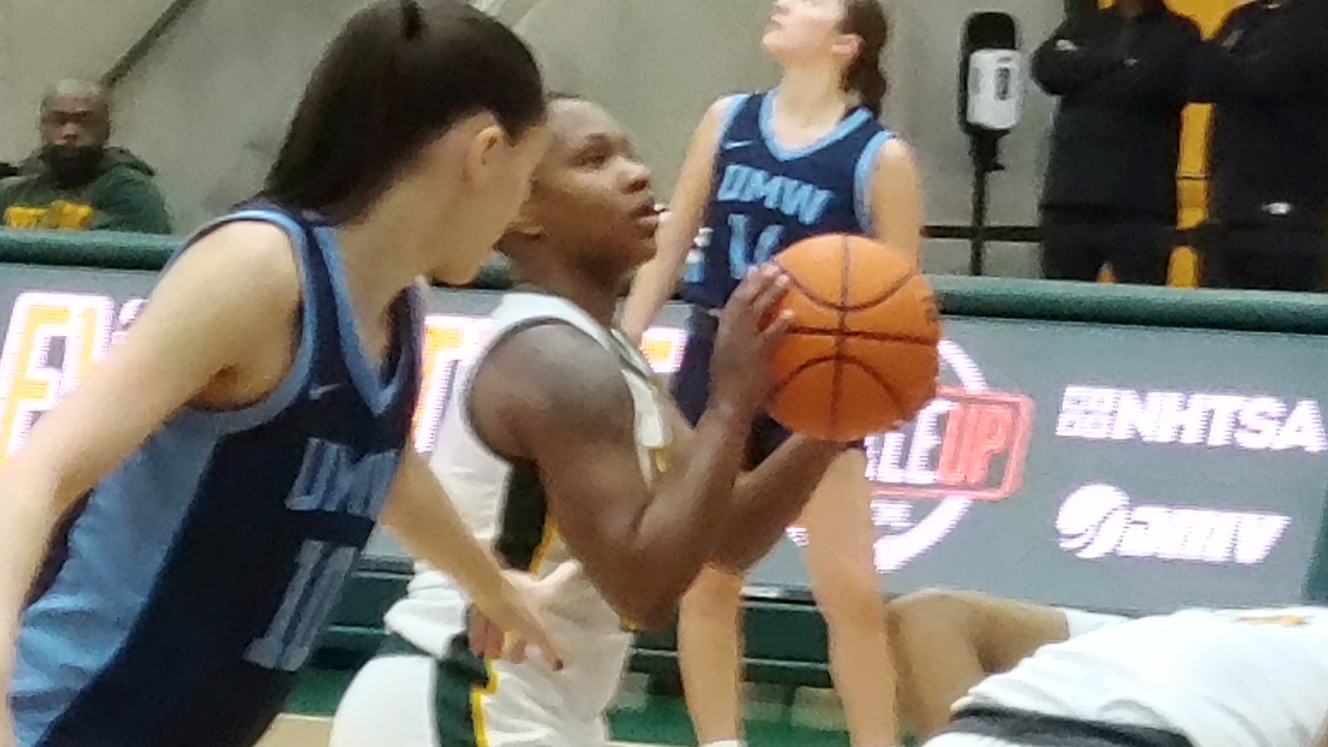 Johnson's game high 29 leads NSU women trouncing Mary Washington 99-43 ...