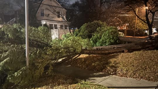 Dominion Energy power outages in Virginia | 13newsnow.com