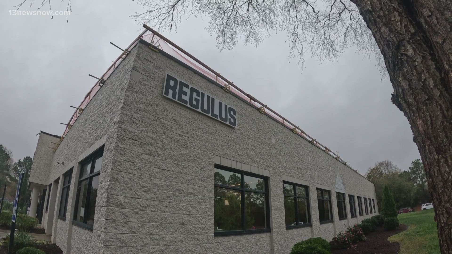 Regulus Global opens new headquarters in Virginia Beach | 13newsnow.com