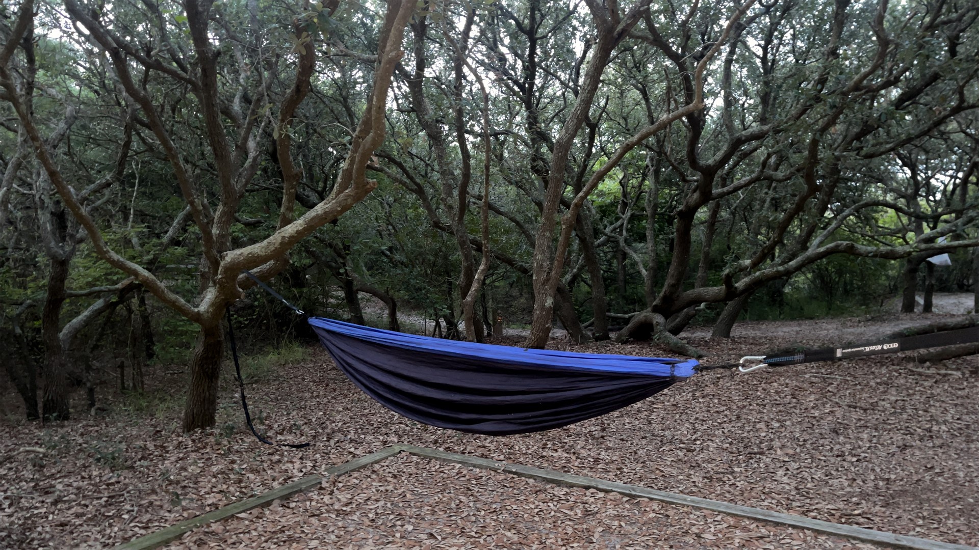 Camp on the beach at False Cape State Park in Virginia | 13newsnow.com