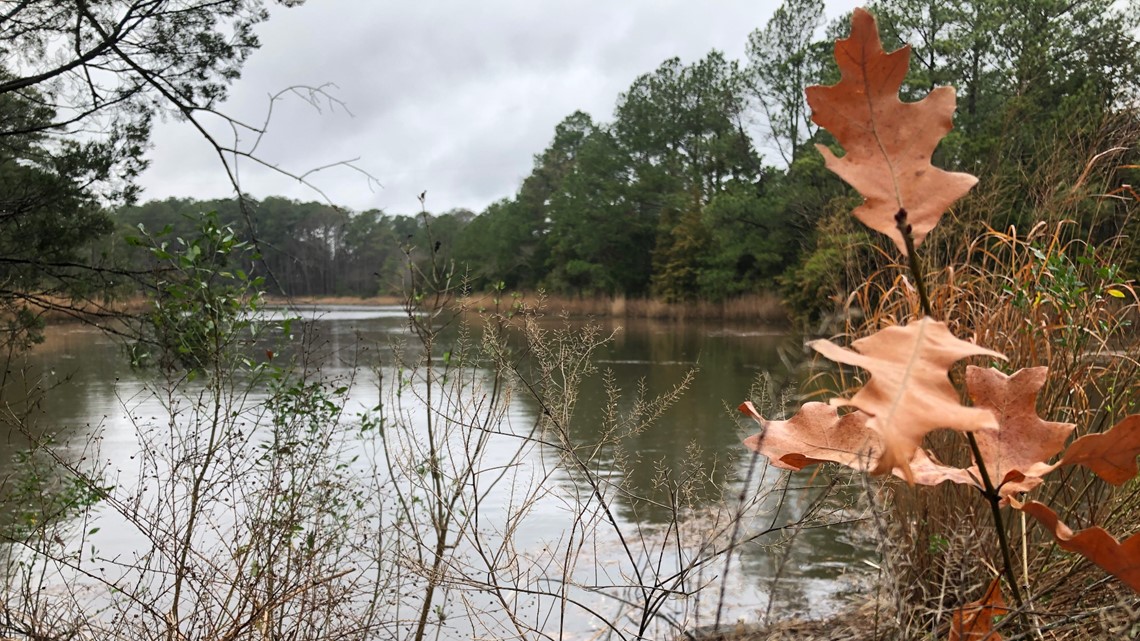 Navy to conduct further environment tests after 2017 NAS Oceana jet ...