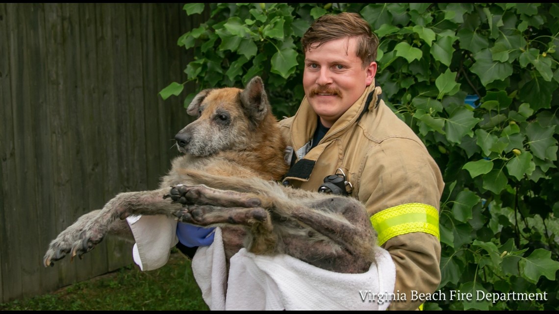 2 people displaced, dog rescued, cat missing in Virginia Beach house ...