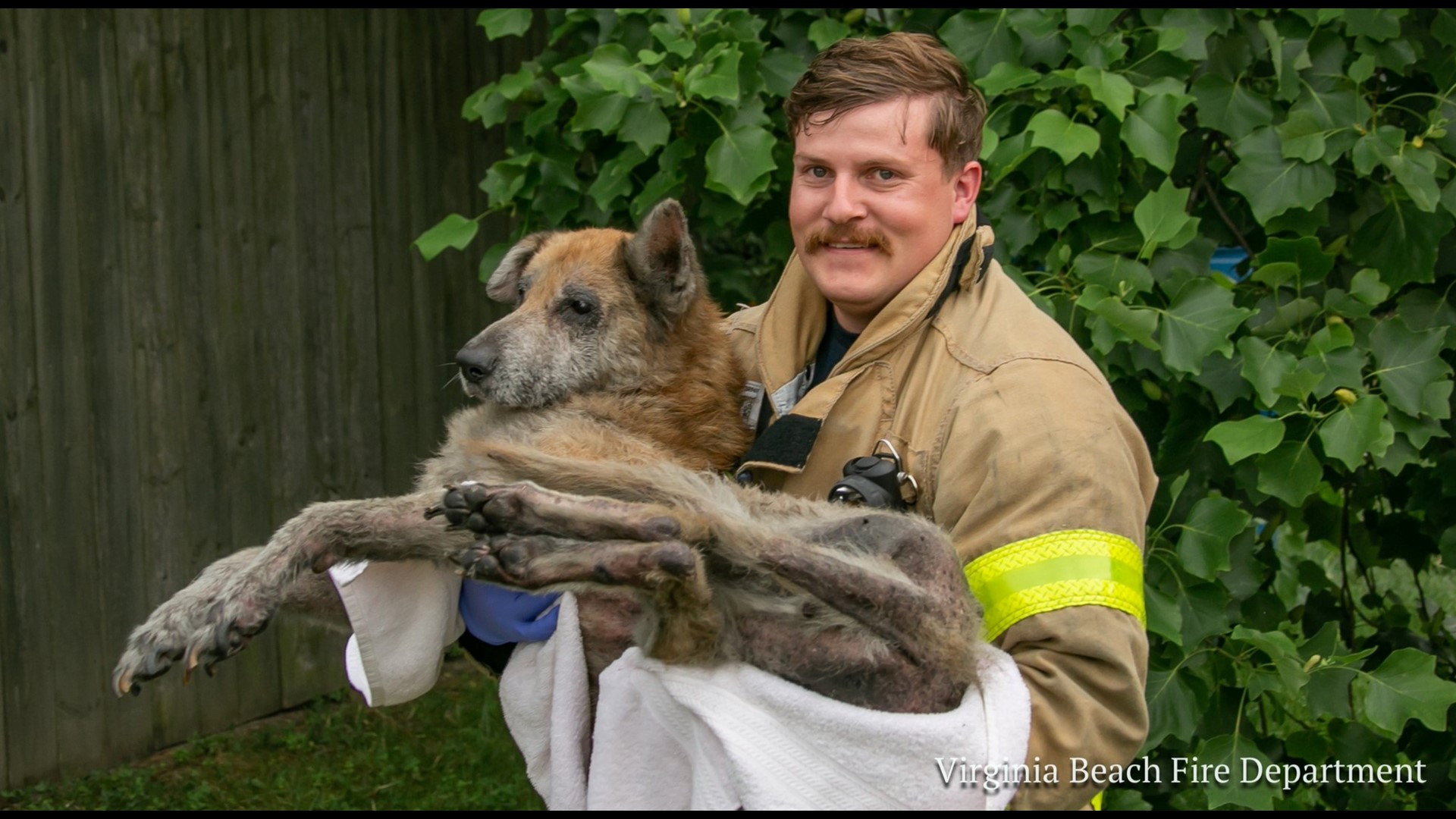 2 people displaced, dog rescued, cat missing in Virginia Beach house ...