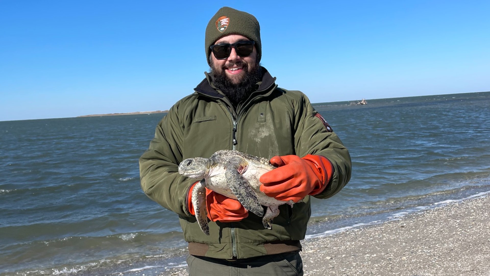 More than 100 cold-stunned sea turtles wash up along the OBX ...